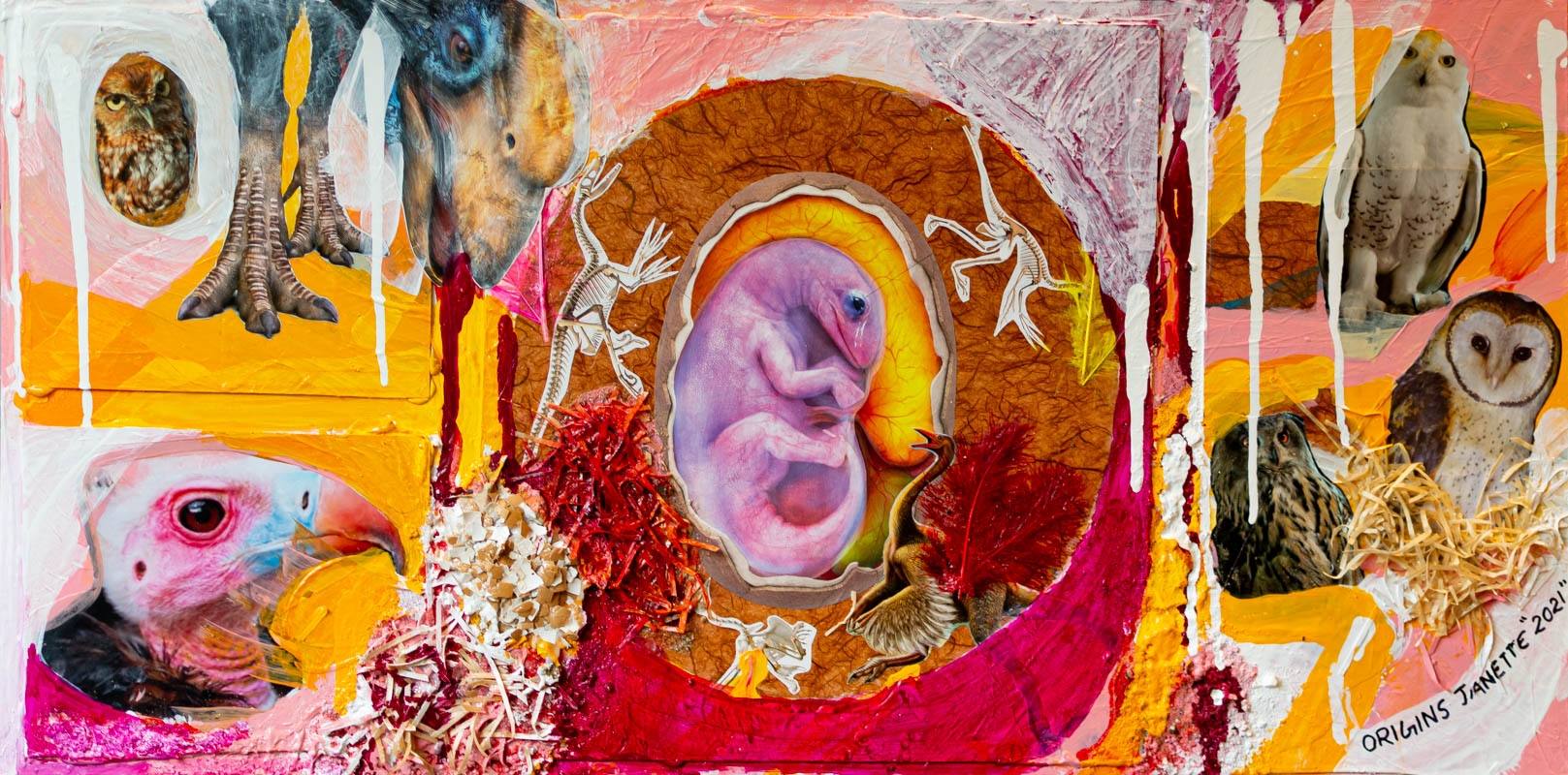 Origins - Janette Thompson